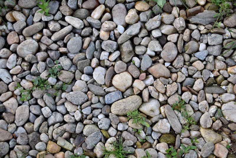 View of Pebbles on the Ground Stock Image - Image of ground, simple ...