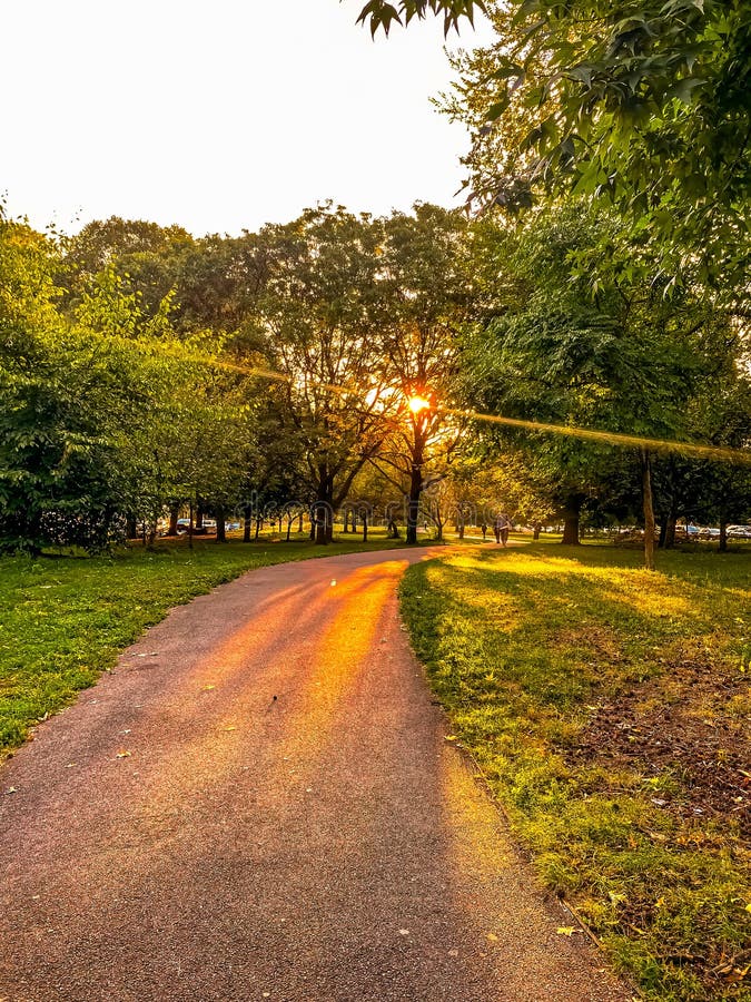 Another Ordinary Day in the Bronx. Stock Photo - Image of landscape ...