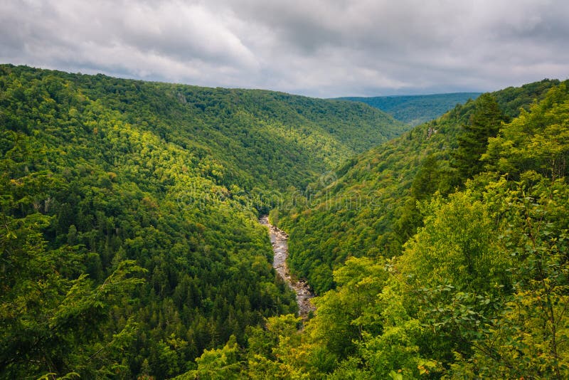View from Pendleton Point, in Blackwater Falls State Park, West ...