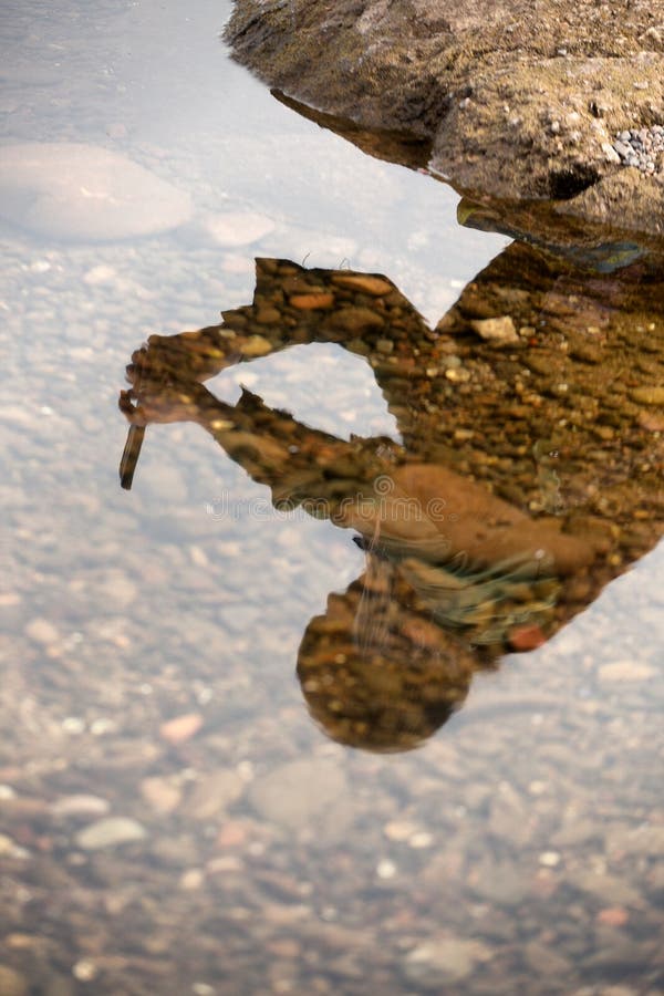 Persons Reflection in Silhouette on the Surface of Water Stock Image ...