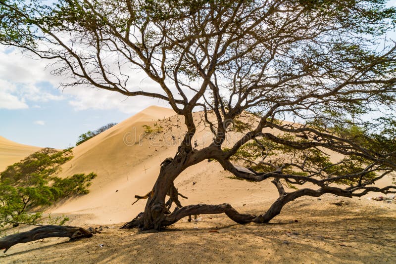 Peruvian Sand Dune stock image. Image of blue, color - 157784437