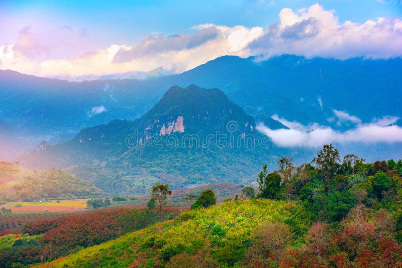 1,633 Payao Stock Photos - Free & Royalty-Free Stock Photos from Dreamstime