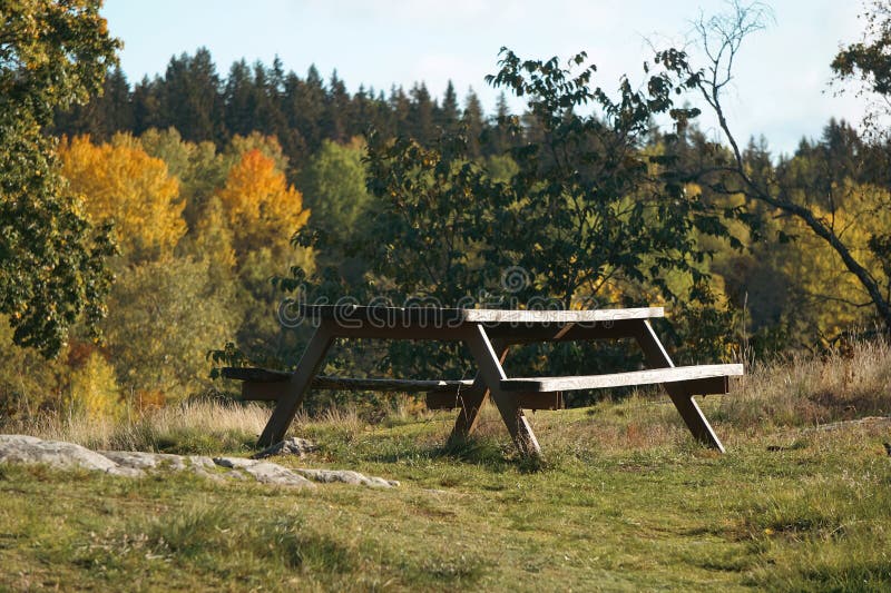 View of a Picnic Table on a Field Stock Image - Image of natural, tree ...