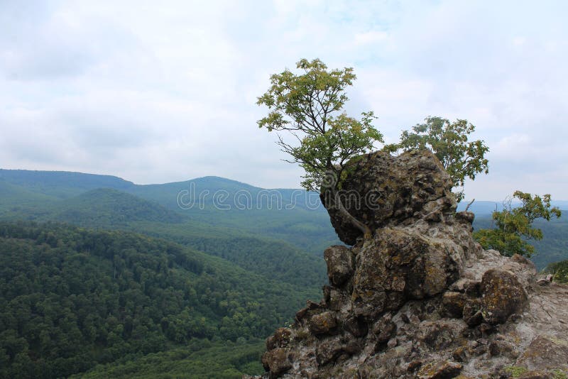 The Pilis Mountains stock photo. Image of travel, europe - 122057692
