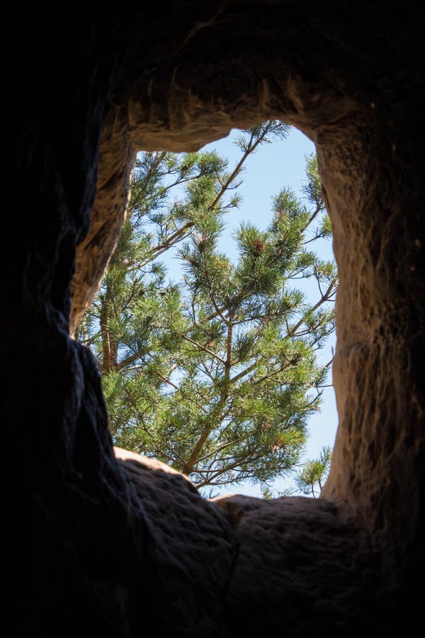 Pine Tree View through Cave Top Stock Image - Image of europe, aerial ...