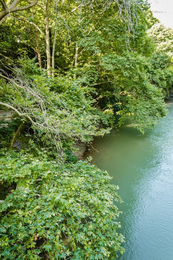 Rivers Pinios in the Valley of Tembi - Greece Stock Photo - Image of ...