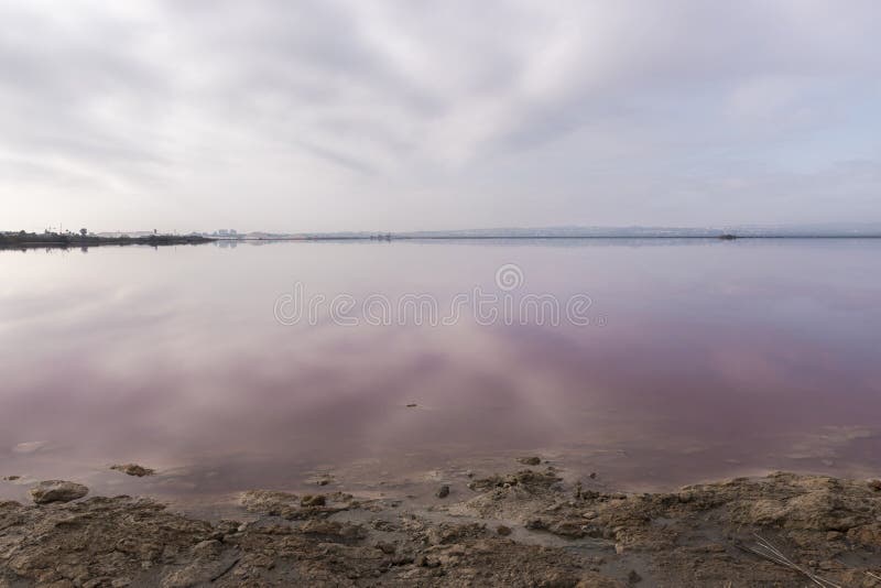 View of the Pink Lake of Torrevieja Stock Photo - Image of horizon ...