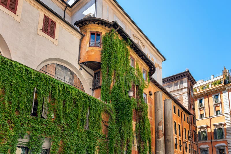 Plants Hanging on the Building Wall in Rome, Italy Stock Image - Image ...