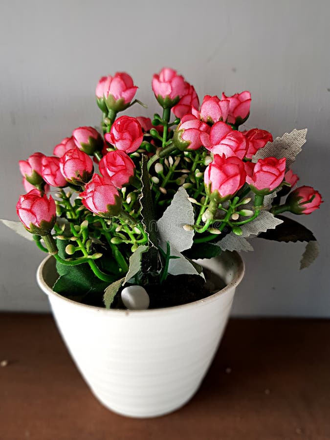 View of Plastic Flowers on the Table at the Cafetaria Stock Photo ...