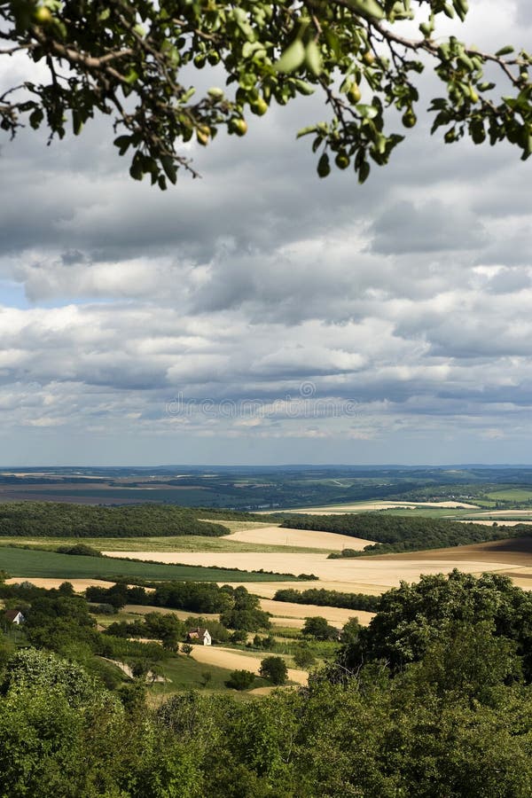 View on the Plough Land stock photo. Image of produce - 20065224