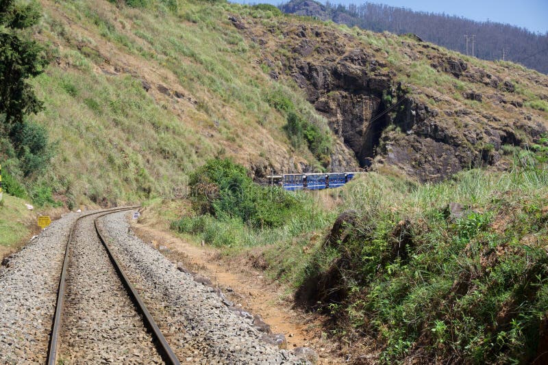 View Point Forest Railway Tunnel with Green Trees and Leaf with ...