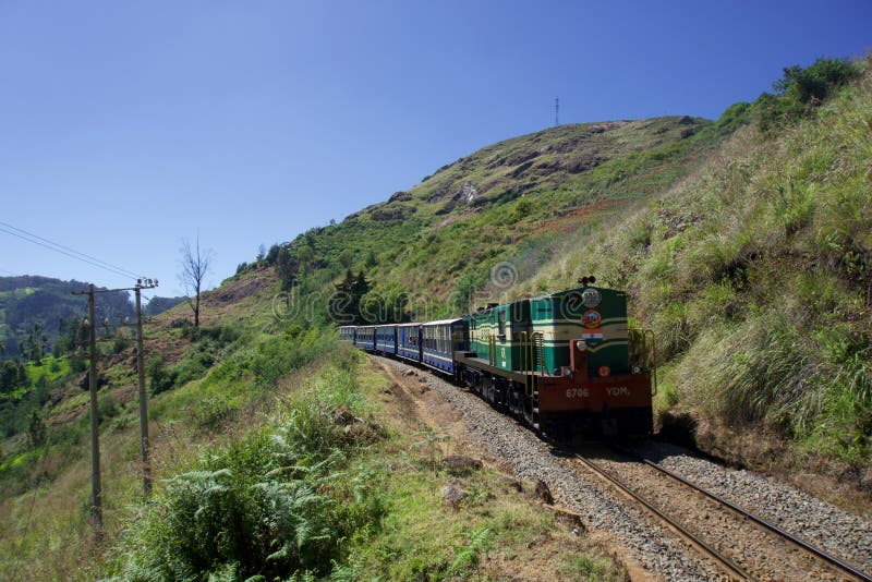 View Point Forest Railway Tunnel with Green Trees and Leaf with ...