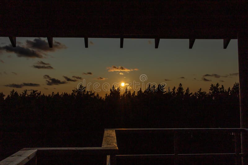 View Point Forest in Shadows Stock Photo - Image of sunset, windy ...