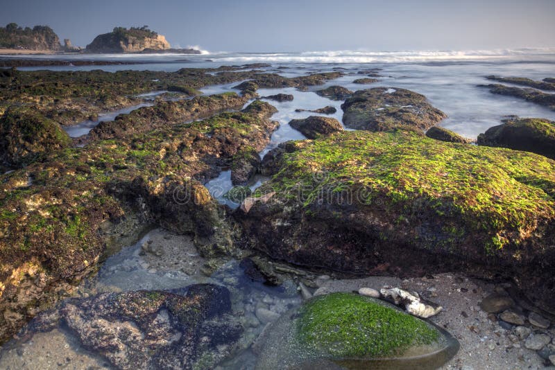 View of Pok Tunggal Beach. stock photo. Image of paddy - 62798872