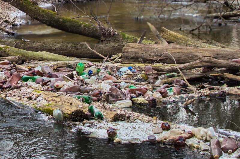 View of the Polluted Small Forest River with a Lot of Different Plastic ...