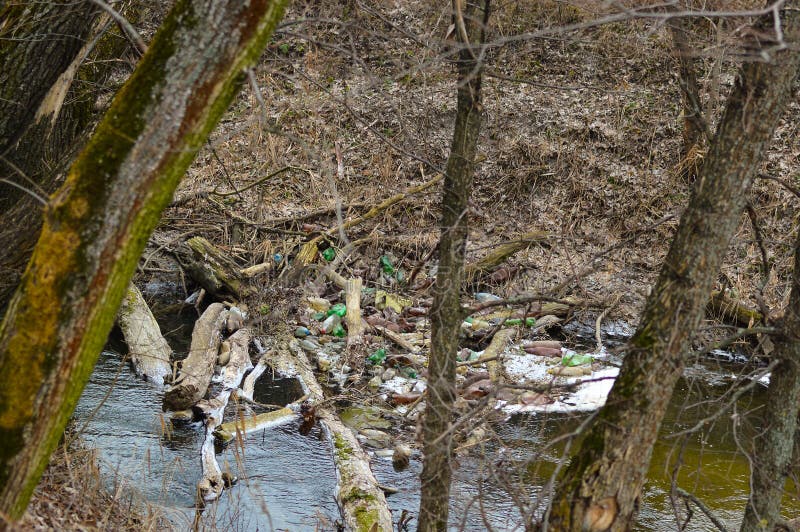 View of the Polluted Small Forest River with a Lot of Different Plastic ...