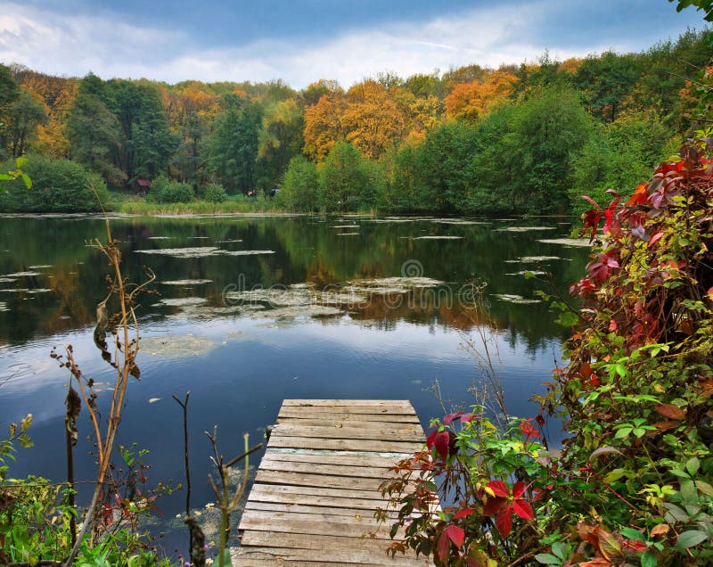 View of a pond stock photo. Image of tranquillity, lake - 26871568