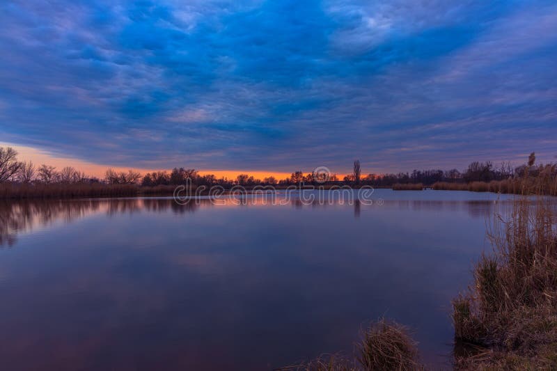 View of the Pond at Blue Hour Stock Image - Image of path, wilderness ...
