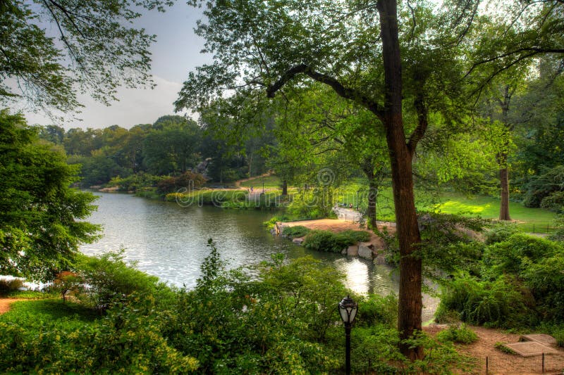 View at a Pond in Central Park, New York Stock Photo - Image of ...