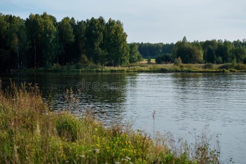 A Pond in the Countryside stock image. Image of coloured - 85649461