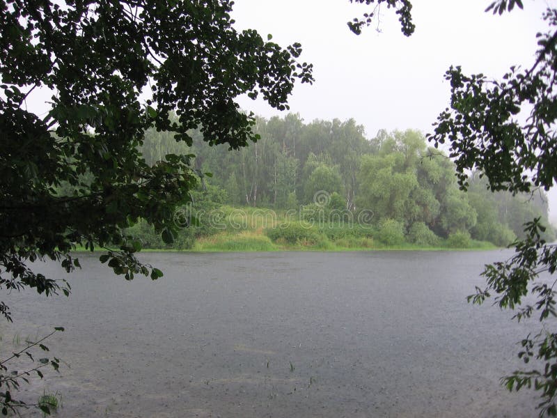 Rain is on a pond. stock image. Image of pond, plant - 190680507