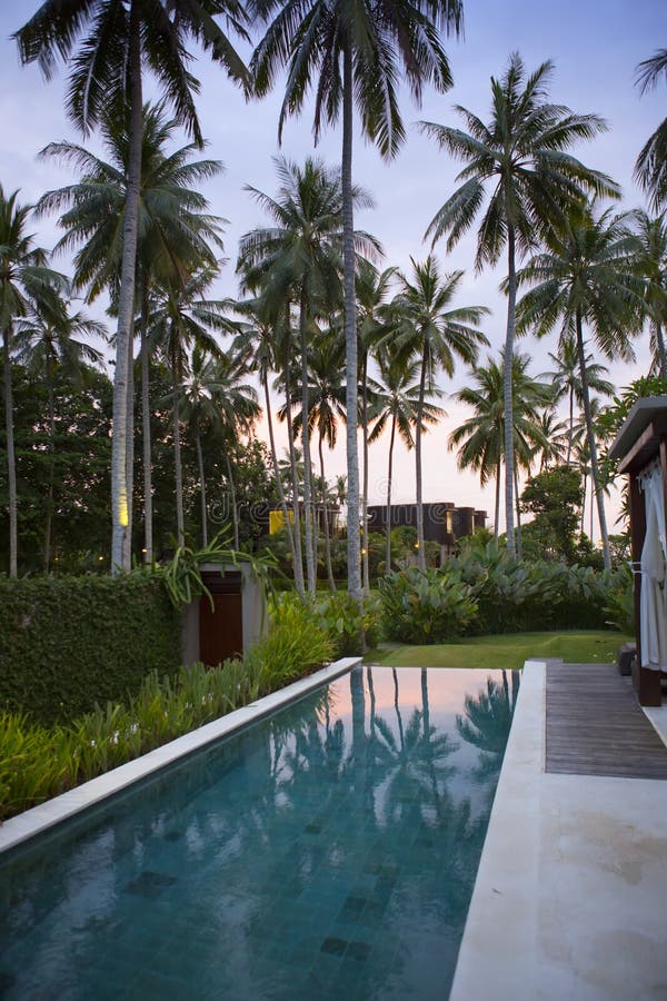 View of the Pool with Reflection of Palm Trees Stock Photo - Image of ...