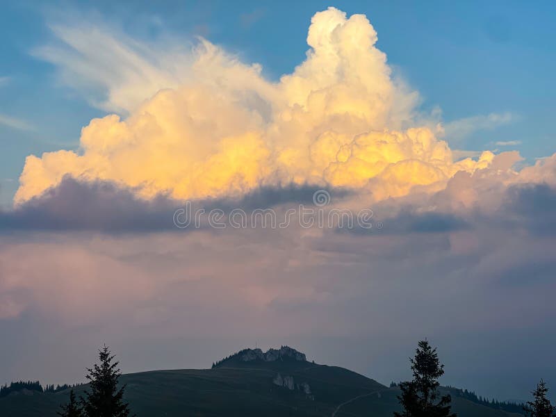 Popii Raraului Stock Photos - Free & Royalty-Free Stock Photos from ...