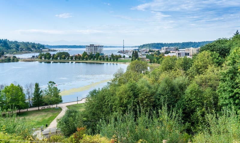 Port of Olympia stock image. Image of trees, boats, marine - 161092409