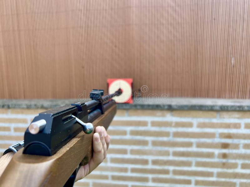 View of a Practice Rifle Aiming at a Practice Point, Stock Photo ...