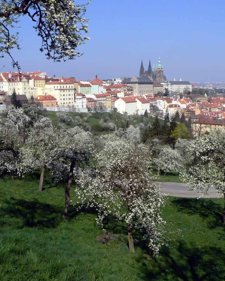 Prague spring stock photo. Image of square, czech, spring - 53074322