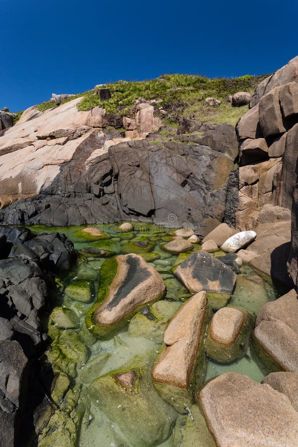 A View of Praia Mole Mole Beach and Galheta - Popular Beachs in ...
