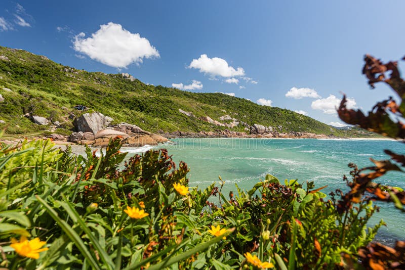 A View of Praia Mole Mole Beach and Galheta - Popular Beachs in ...