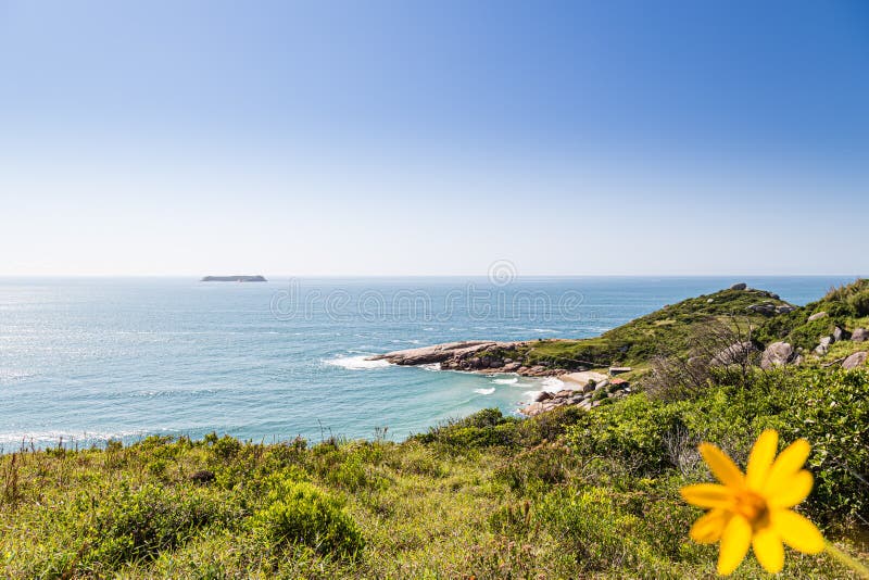 A View of Praia Mole Mole Beach and Galheta - Popular Beachs in ...