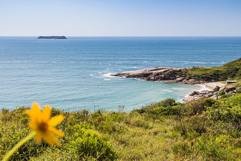A View of Praia Mole Mole Beach and Galheta - Popular Beachs in ...