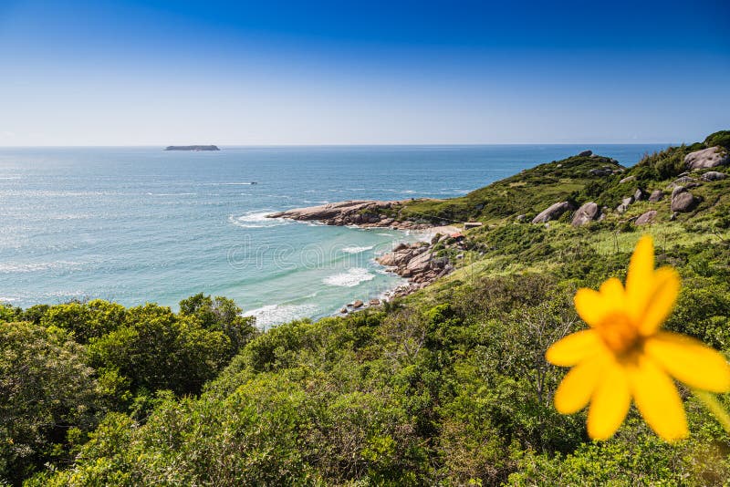 A View of Praia Mole Mole Beach and Galheta - Popular Beachs in ...