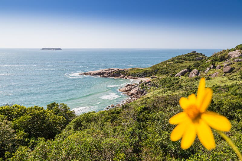 A View of Praia Mole Mole Beach and Galheta - Popular Beachs in ...