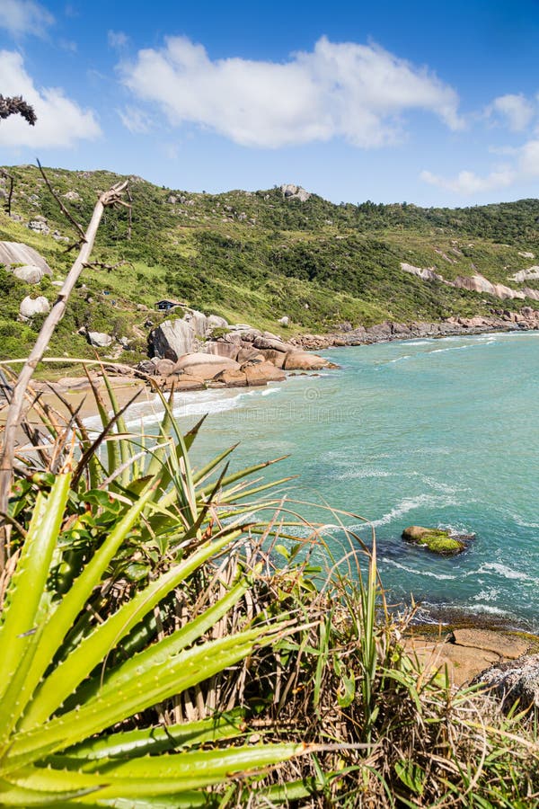 A View of Praia Mole Mole Beach and Galheta - Popular Beachs in ...