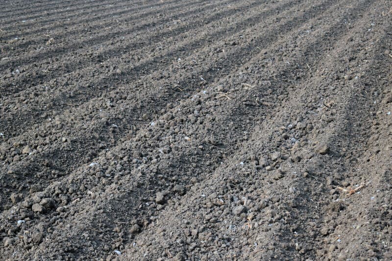 View of Prepared Land for Farming Stock Photo - Image of view, scenic ...