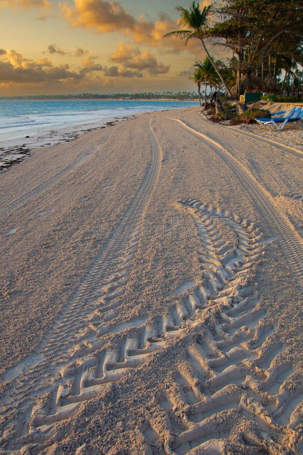 View of a Pretty Beach in Punta Cana Stock Photo - Image of ocean ...