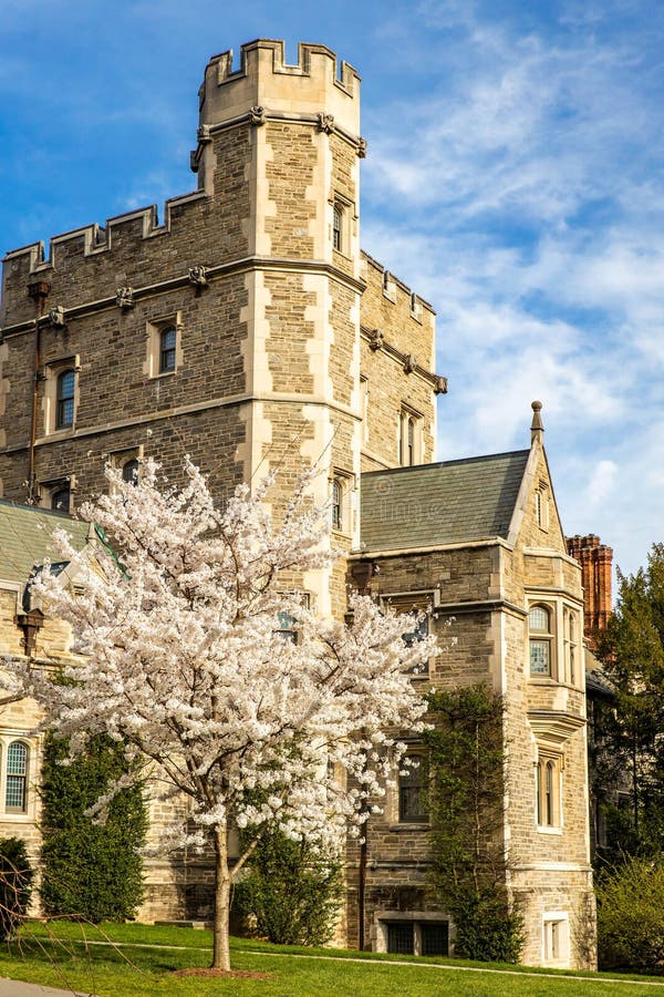 View of Princeton University Campus Vintage Building at Spring ...