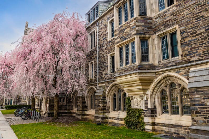 View of Princeton University Campus Vintage Building at Spring ...
