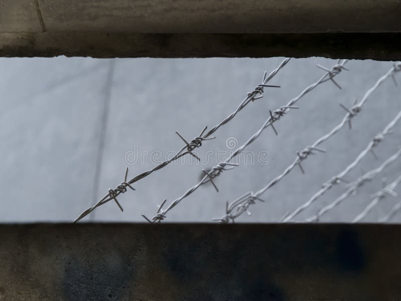 View from a Prison Window. Barbed Wire. Stock Image - Image of metal ...