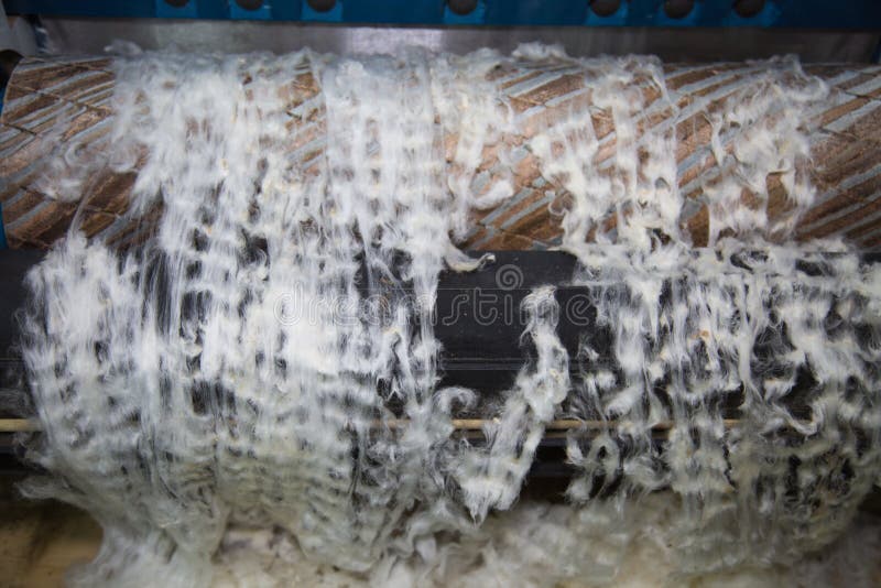 View of the Process of Purification of White Cotton from Seeds on the ...