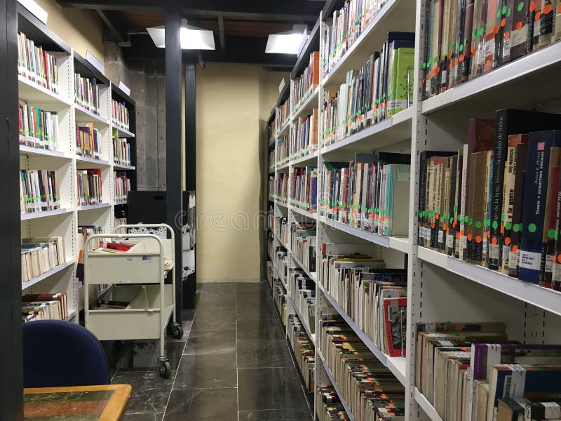 Public Library Book Shelf Filled with Books Stock Photo - Image of ...