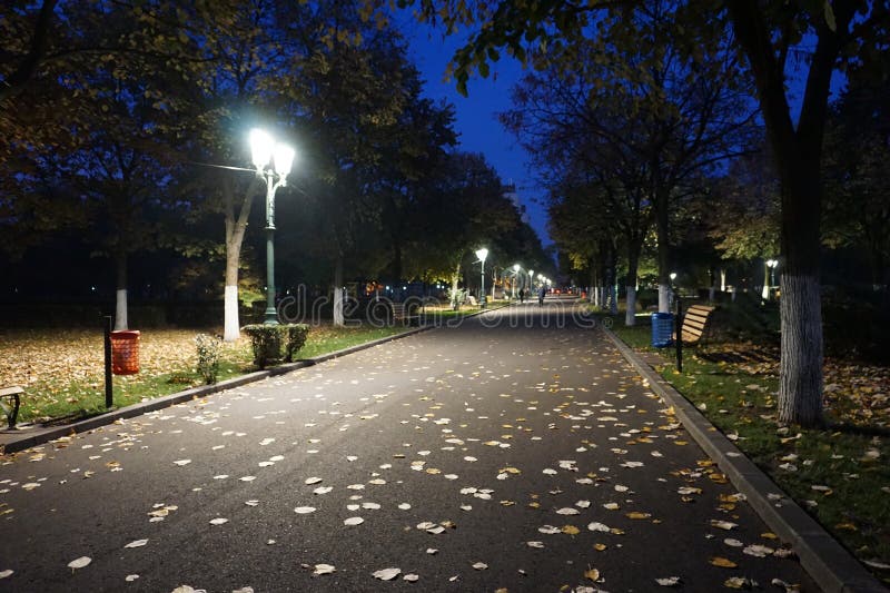 View in a Public Park by Night Stock Image - Image of view, asphalt ...