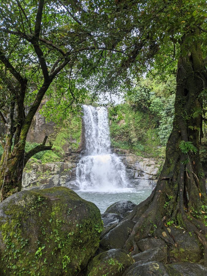 View of Pung Bunga Waterfall from Rocks and Trees Stock Image - Image ...