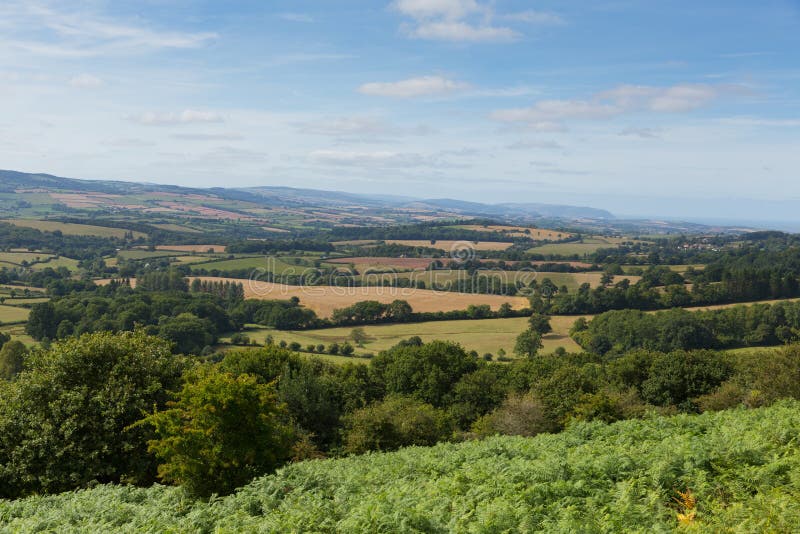 Quantock Hills Somerset England UK View in Direction of Blackdown Hills ...