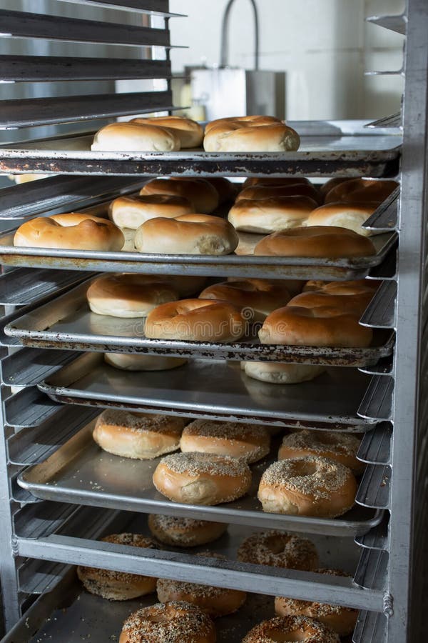 Bagel rack at bakery stock photo. Image of sesame, roll - 277539178