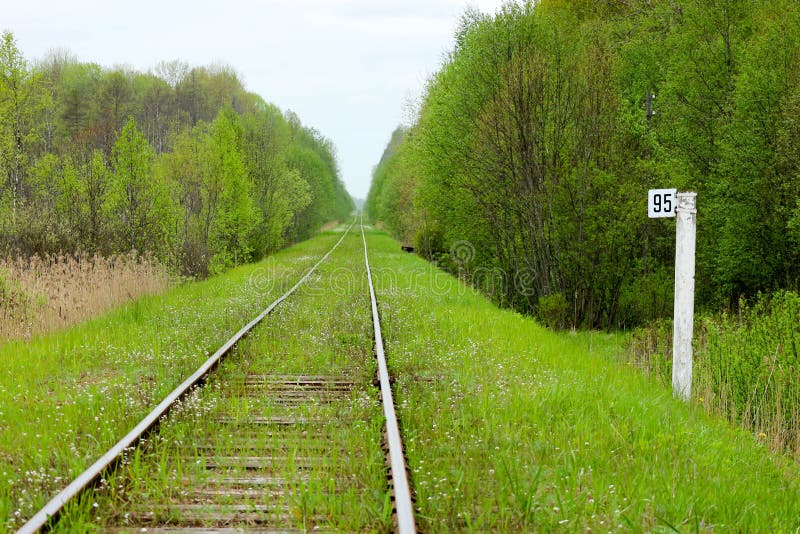 View of Railroad Track of Abandoned Old Railway in the Forest with ...