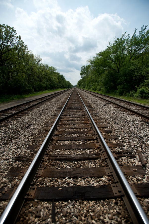 View of the Railroad Tracks with Trees Stock Photo - Image of line ...